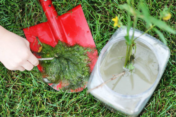 science experiment activities - Kim Byers