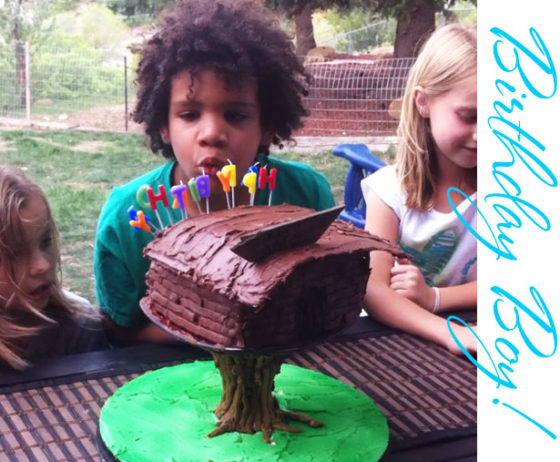 tree house picnic party - Kim Byers