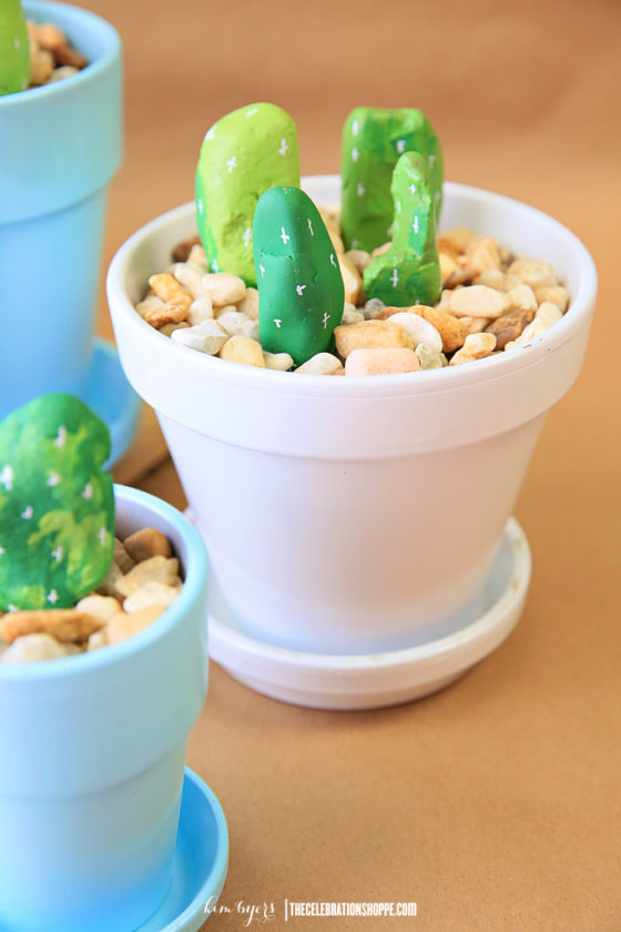 Cactus Planter - A Painted Rock Craft - Kim Byers
