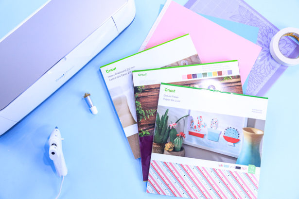 Make A Cactus Valentine Box and Card with Cricut Maker - Kim Byers